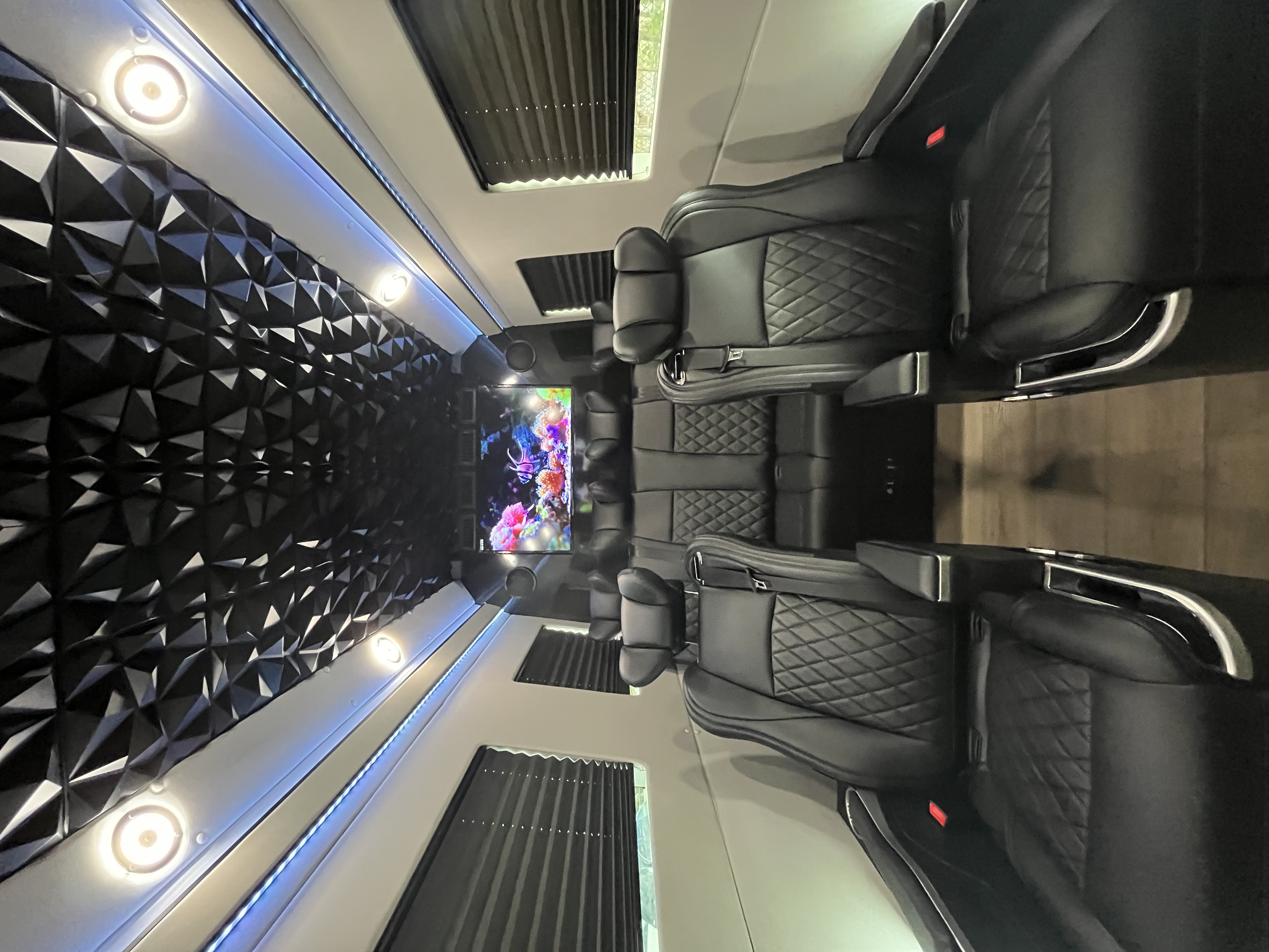 Olaf | 10-Passenger Jet Sprinter Van Rental | Checkmate Luxury Sprinters